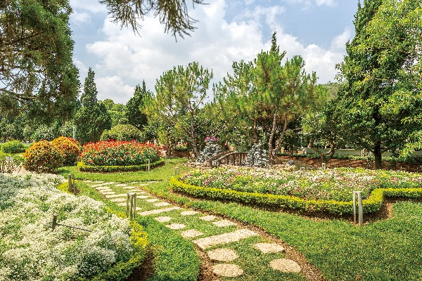 A quiet year-end escape: Why Da Lat is perfect for a slow, peaceful ...