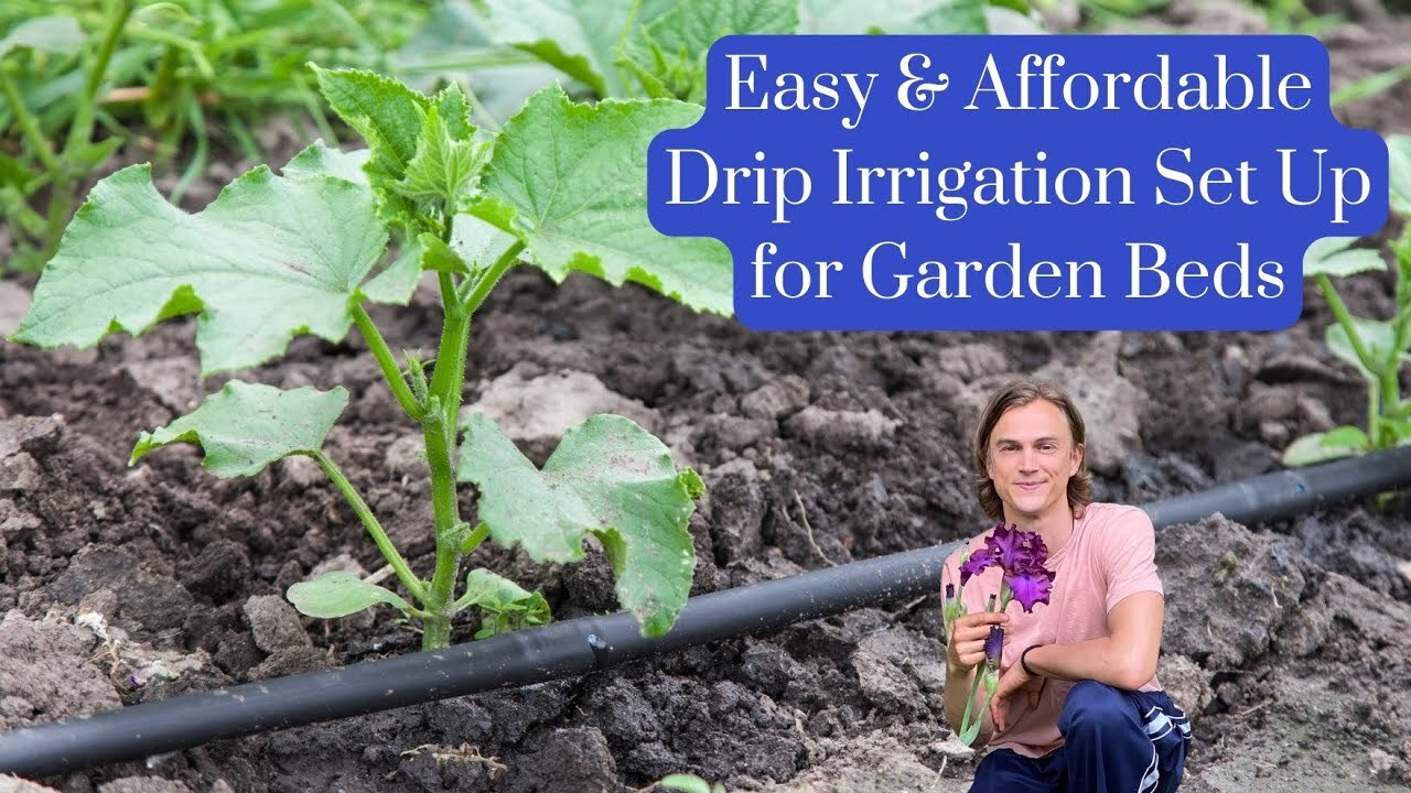Drip irrigation for flower beds - how to set up fast, cheap, & easy ...