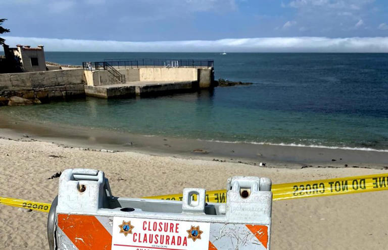 Body found after suspected Pacific Grove shark attack confirmed as Erica Fox