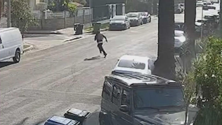 Mother crashes into fleeing burglars after they attempted to break into ...