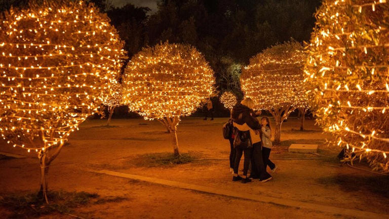 Christmas 2025: Retail stores to remain closed on December 24, 25—know ...