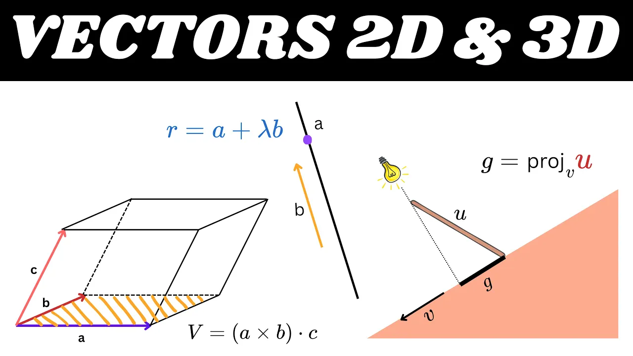 The ultimate guide to vectors — learn all the essentials fast