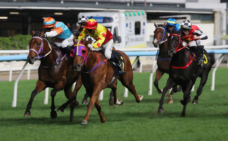 Hollie Doyle looks to sign off on a high at Happy Valley as her stint ...