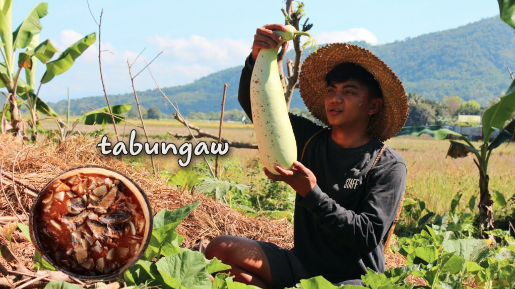 How to cook ginisang upo with sardinas: Simple Filipino bottle gourd recipe