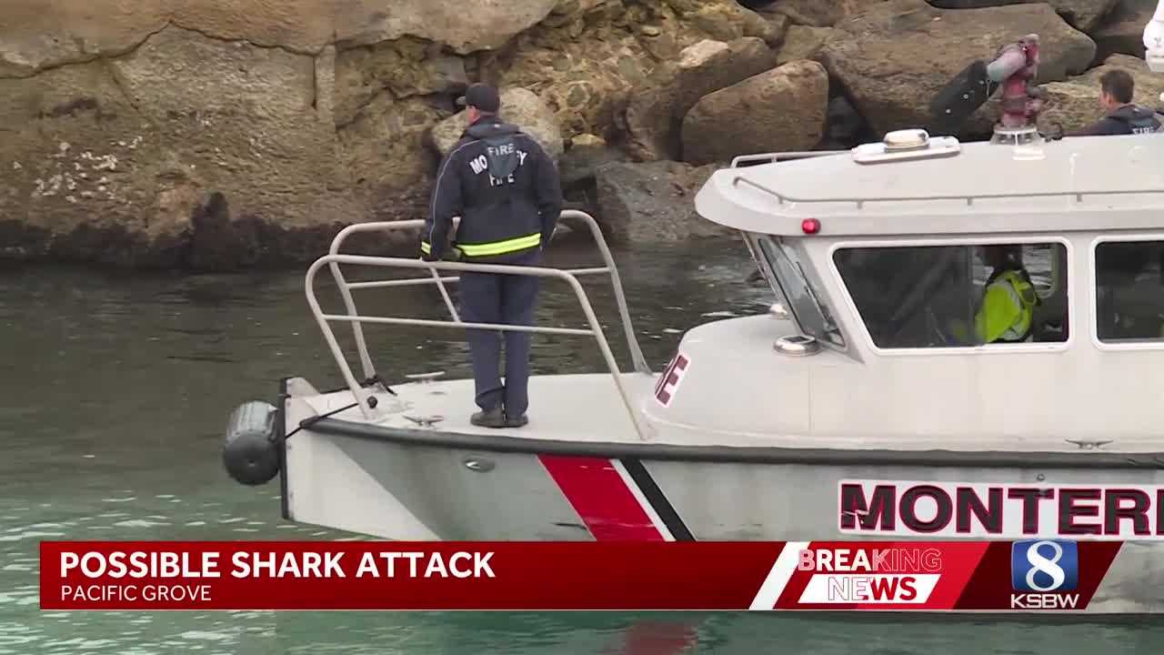 Swim group identifies missing woman amid reported shark attack off ...