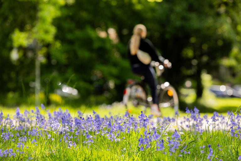 Neues Leben fürs Coty-Areal: Köln plant neues Stadtquartier