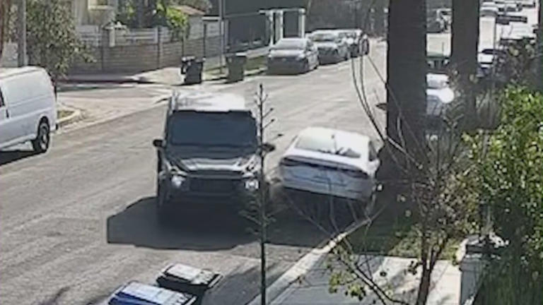 Mother crashes into fleeing burglars after they attempted to break into ...