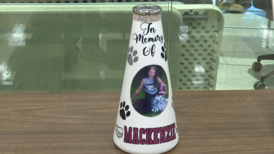 Cheer squads pack Edison High School for major competition honoring ...