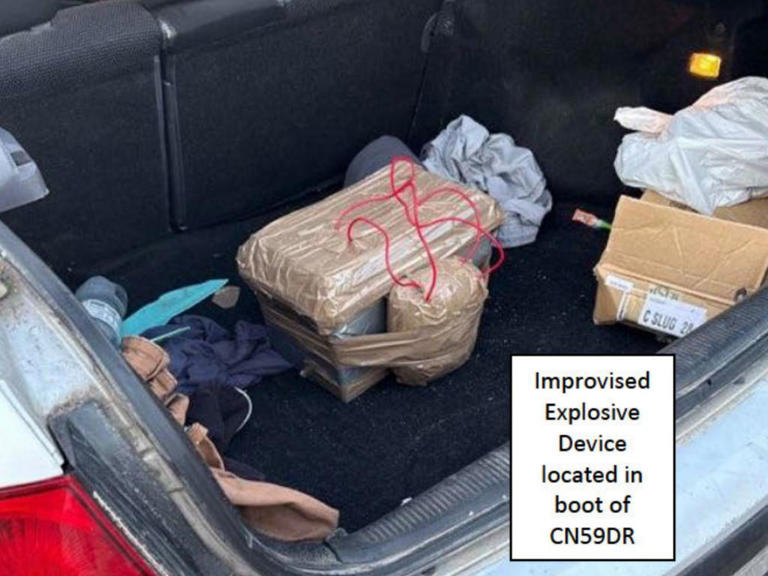 Bombs thrown at crowd before shooting: cops