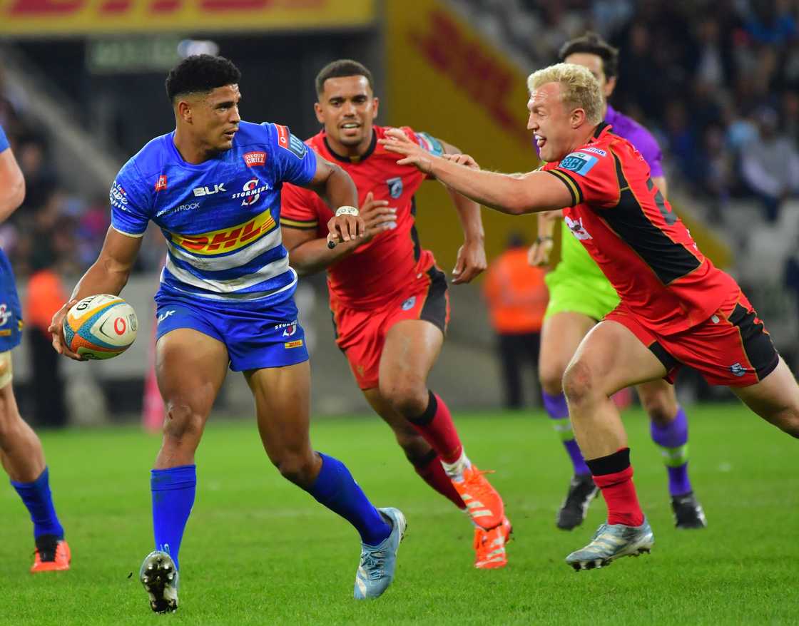 Springboks star Sacha Feinberg-Mngomezulu commits long-term future to ...