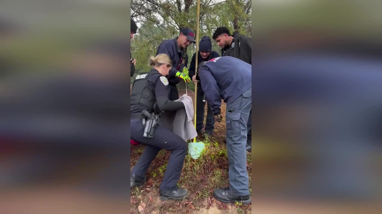 Police and fire crews rescue cat stuck in drain pipe