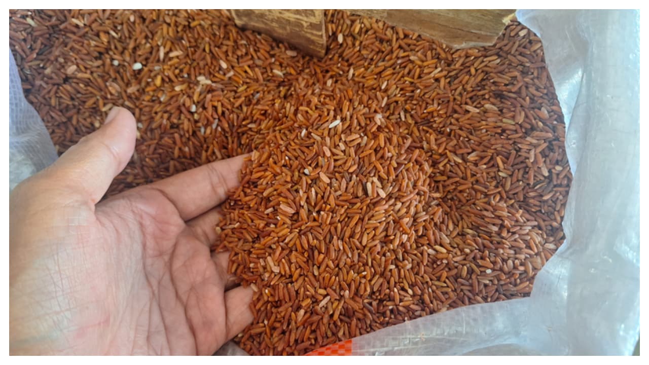 Diabetes diet tips: Key dietary changes to manage blood sugar effectively