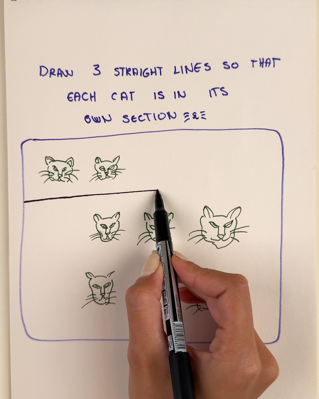 Try this cat challenge 🐈