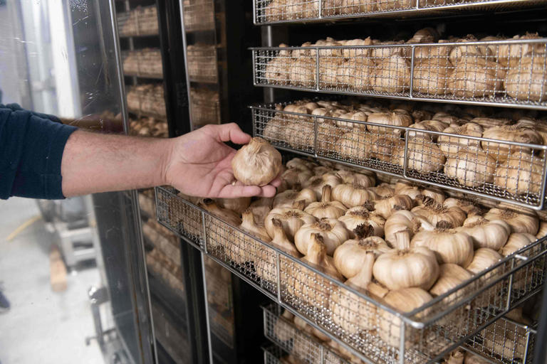 Ever heard of black garlic? It's sweet, jelly-like and full of health ...