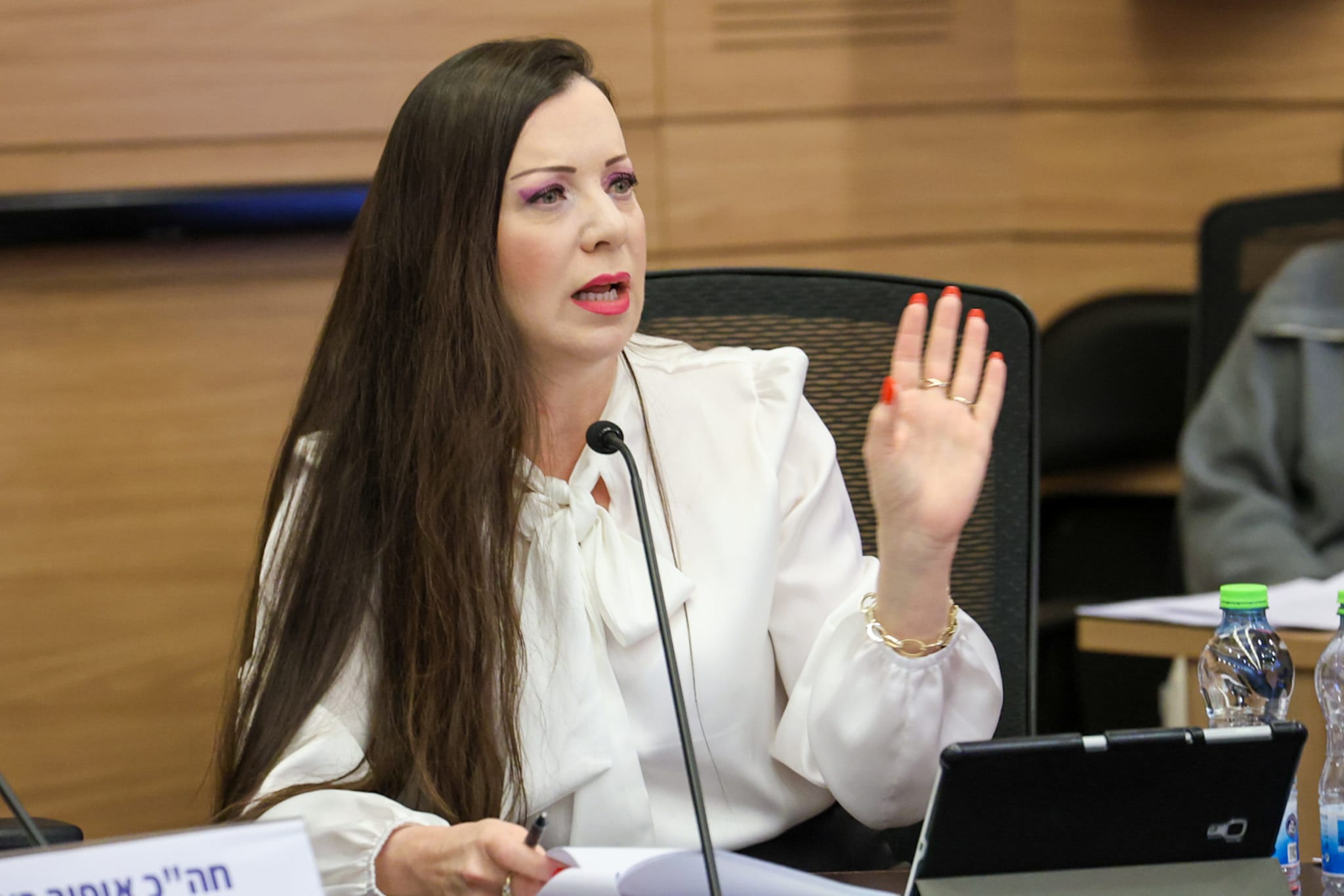 'Baseless leak': Likud denies Netanyahu said Gotliv harming reelection ...