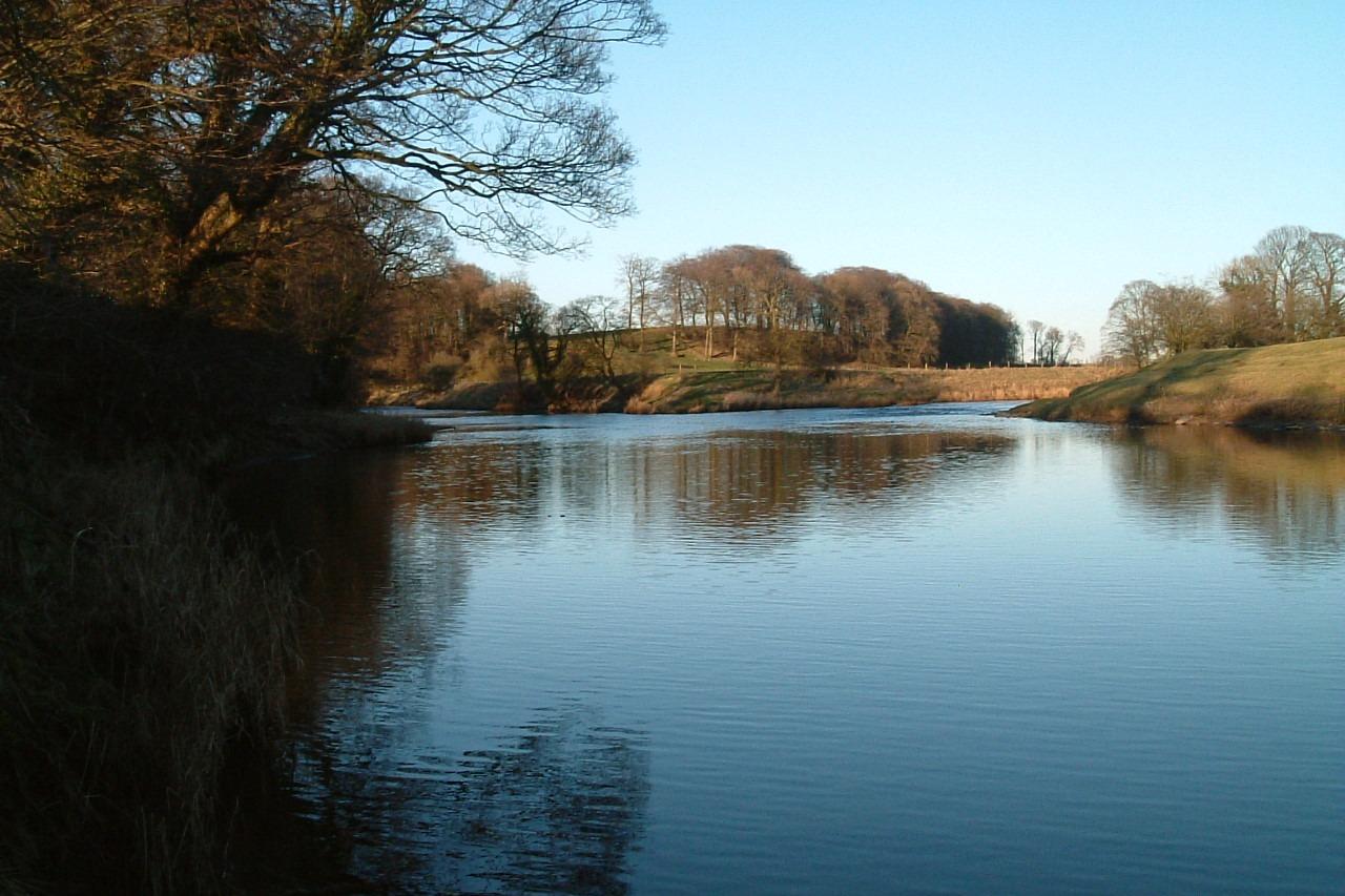 Ribble Rivers Trust wins national wild salmon conservation award