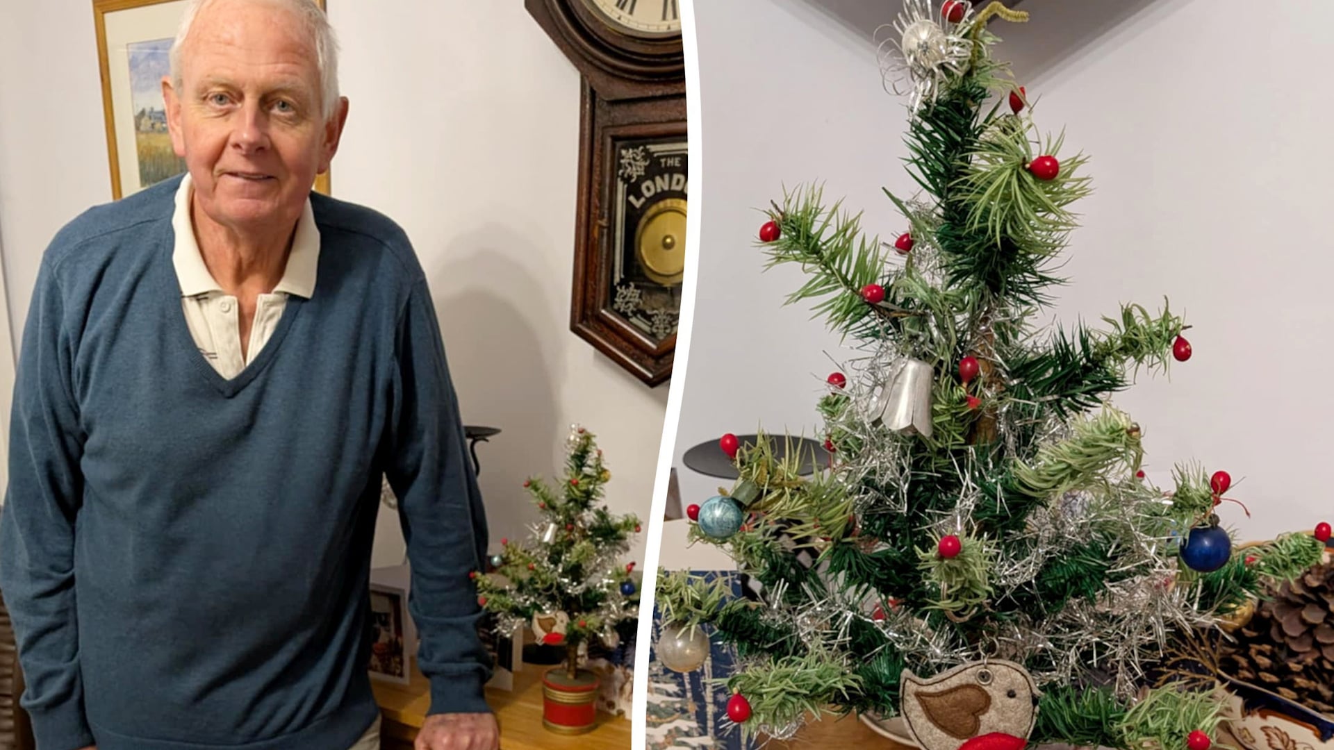 Britain's 'oldest Christmas tree' on display for 94th year