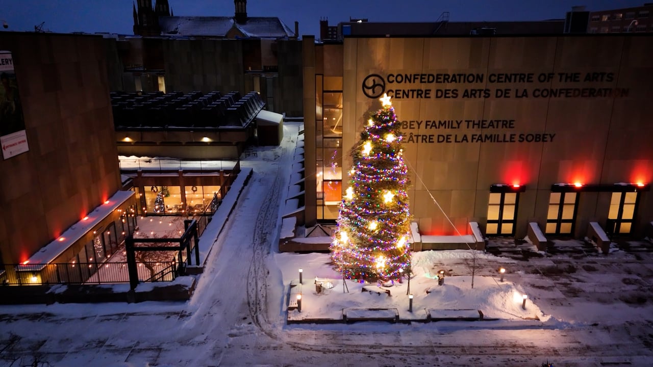 How this family's front-yard Christmas tree ended up in downtown ...