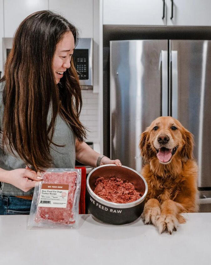 5 subtle signs your dog might need a food upgrade