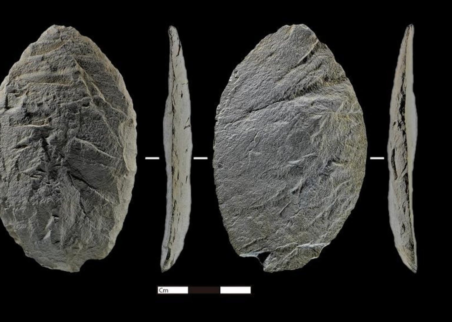 Chinese researchers uncover record-high evidence of ancient human ...