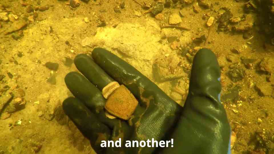 How a single tooth told a 20 million year old story