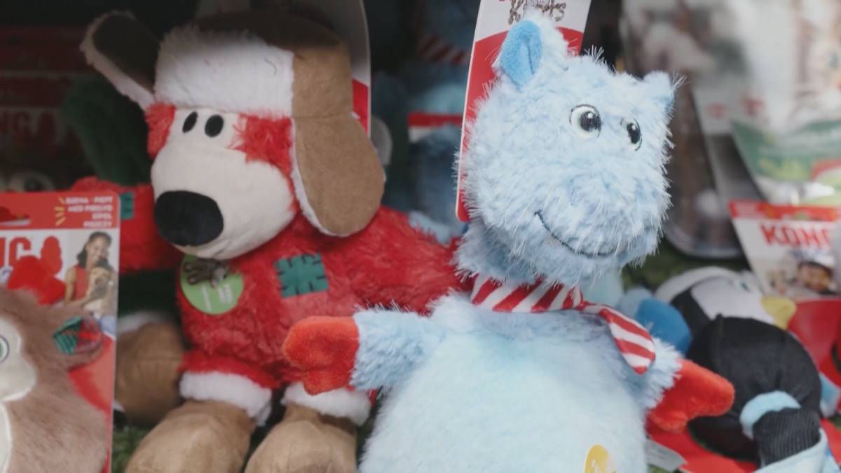 Cerveja para cães ou brinquedos para gatos: os melhores presentes de ...