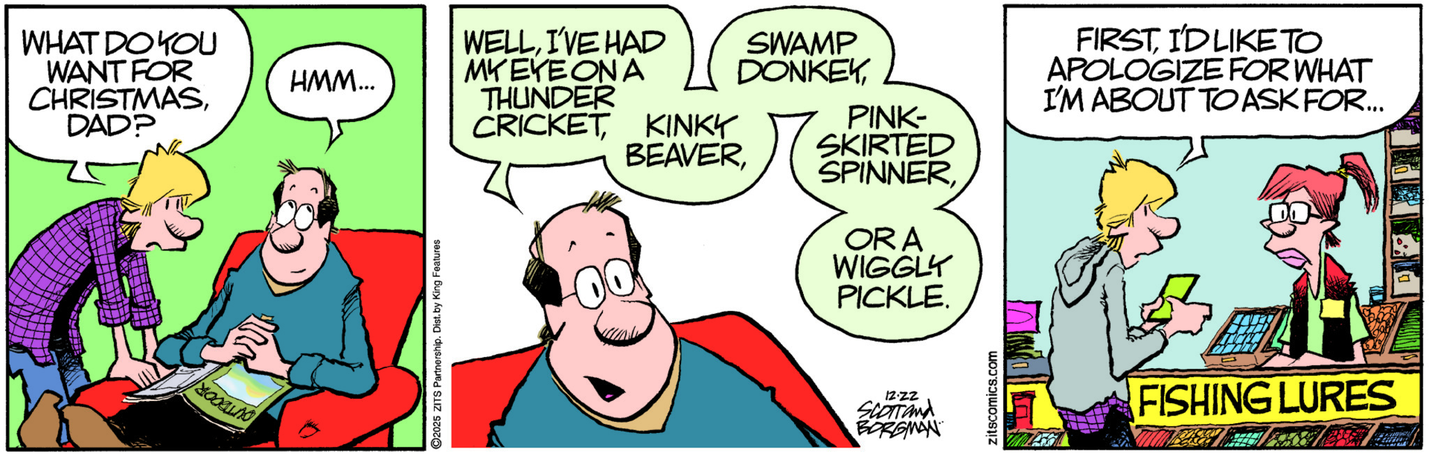 Zits by Jerry Scott and Jim Borgman