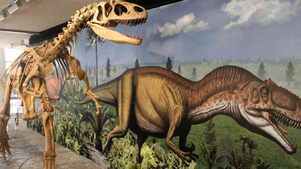 What early fossil discoveries reveal about a continent in constant ...