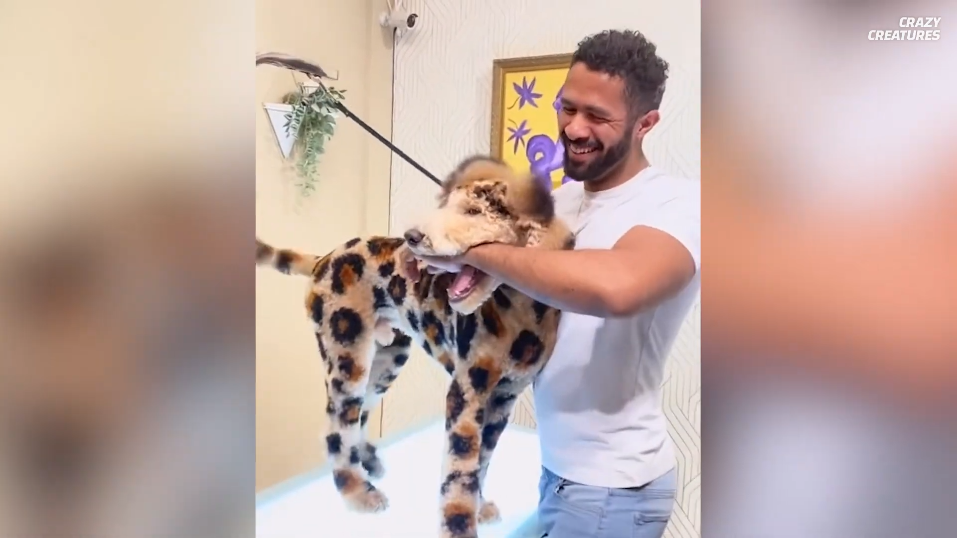Why this dog suddenly appeared with the height of a small giraffe