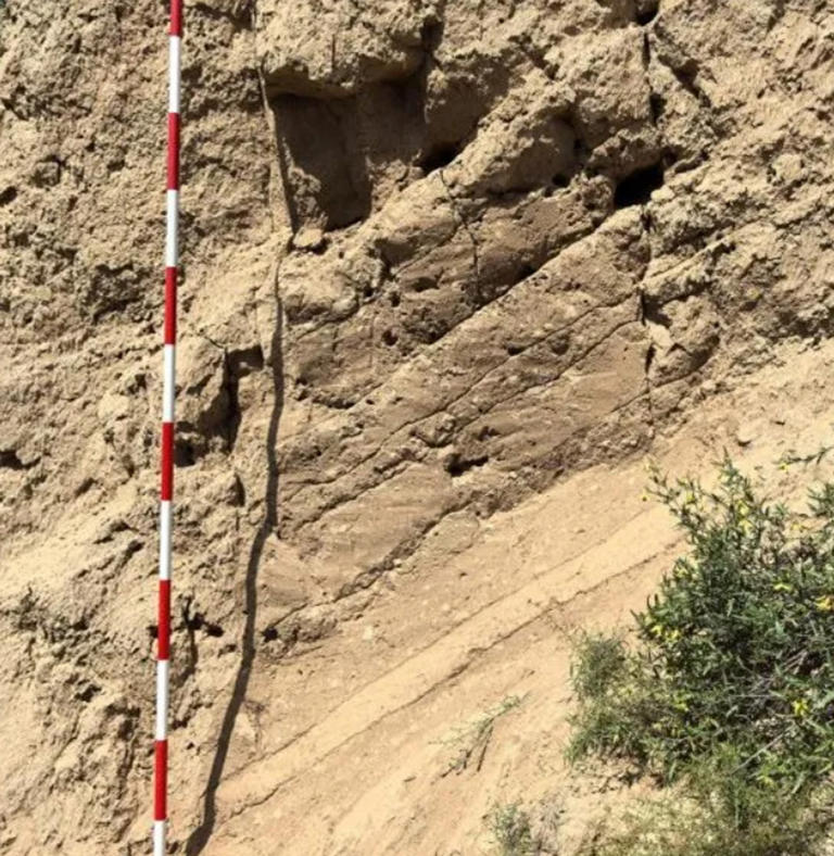 Archaeologists discover a perfectly preserved Chinese four-lane highway ...