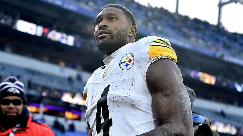 Steelers' Metcalf appears to punch fan during game