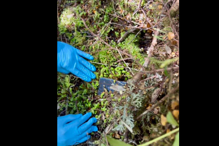 Ze verdween twee jaar geleden in Tasmanië en nu is haar telefoon gevonden