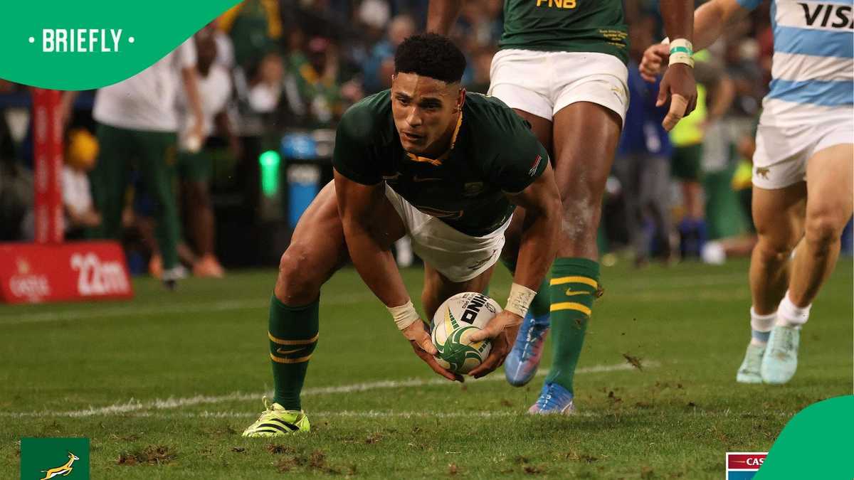 Springboks star Sacha Feinberg-Mngomezulu commits long-term future to ...