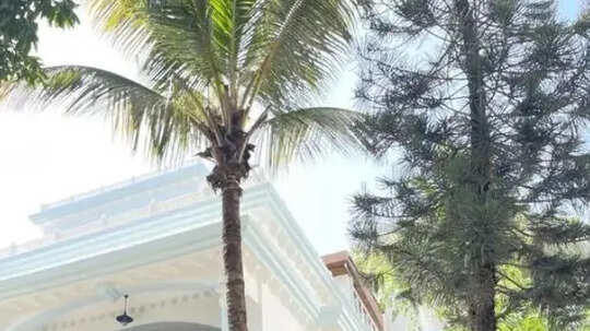 Inside Raat Akeli Hai actor Nawazuddin Siddiqui’s ₹12 crore Nawab ...