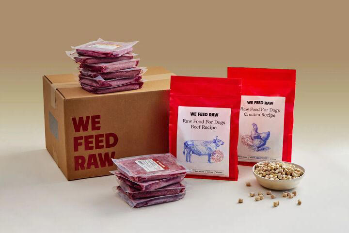 5 subtle signs your dog might need a food upgrade