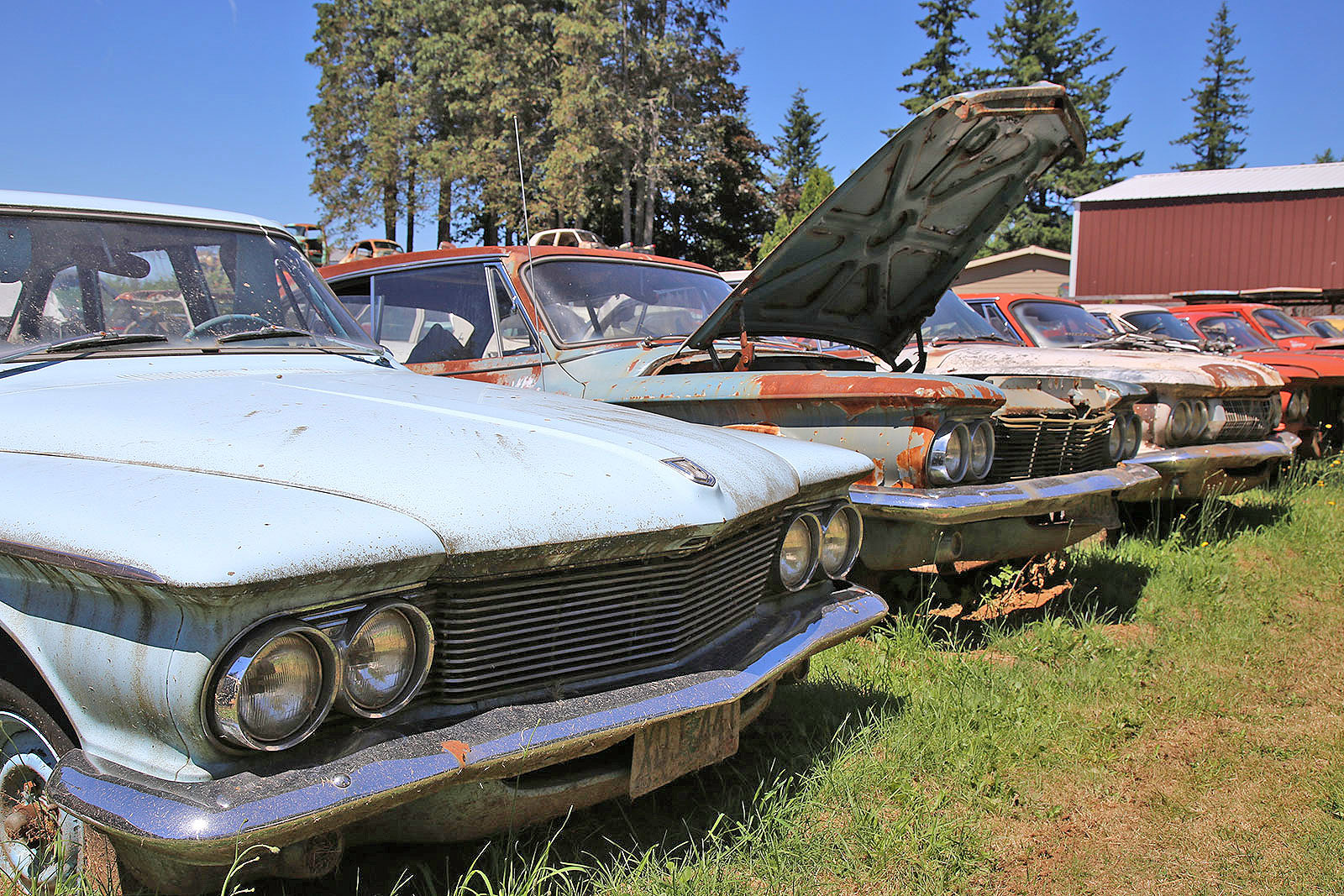 Mopar magic: Junkyard discoveries of Wildcat Auto Wrecking, Sandy, Oregon