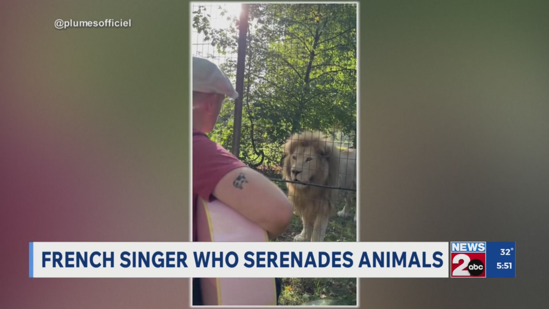 Watch: French singer serenades animals