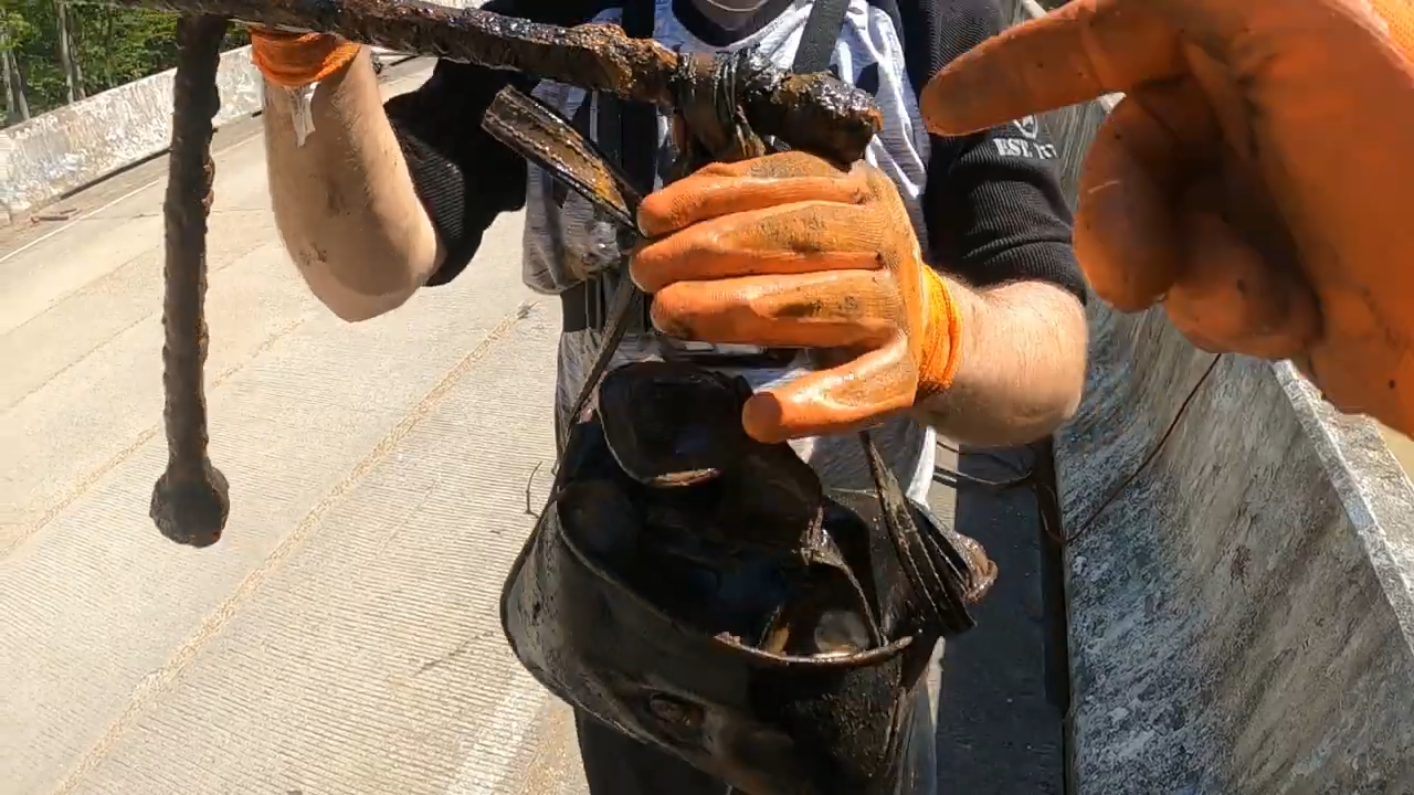 The rope went tight... and we pulled up someone’s entire past