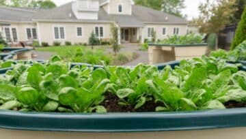 How specialized memory care neighborhoods support cognitive wellness