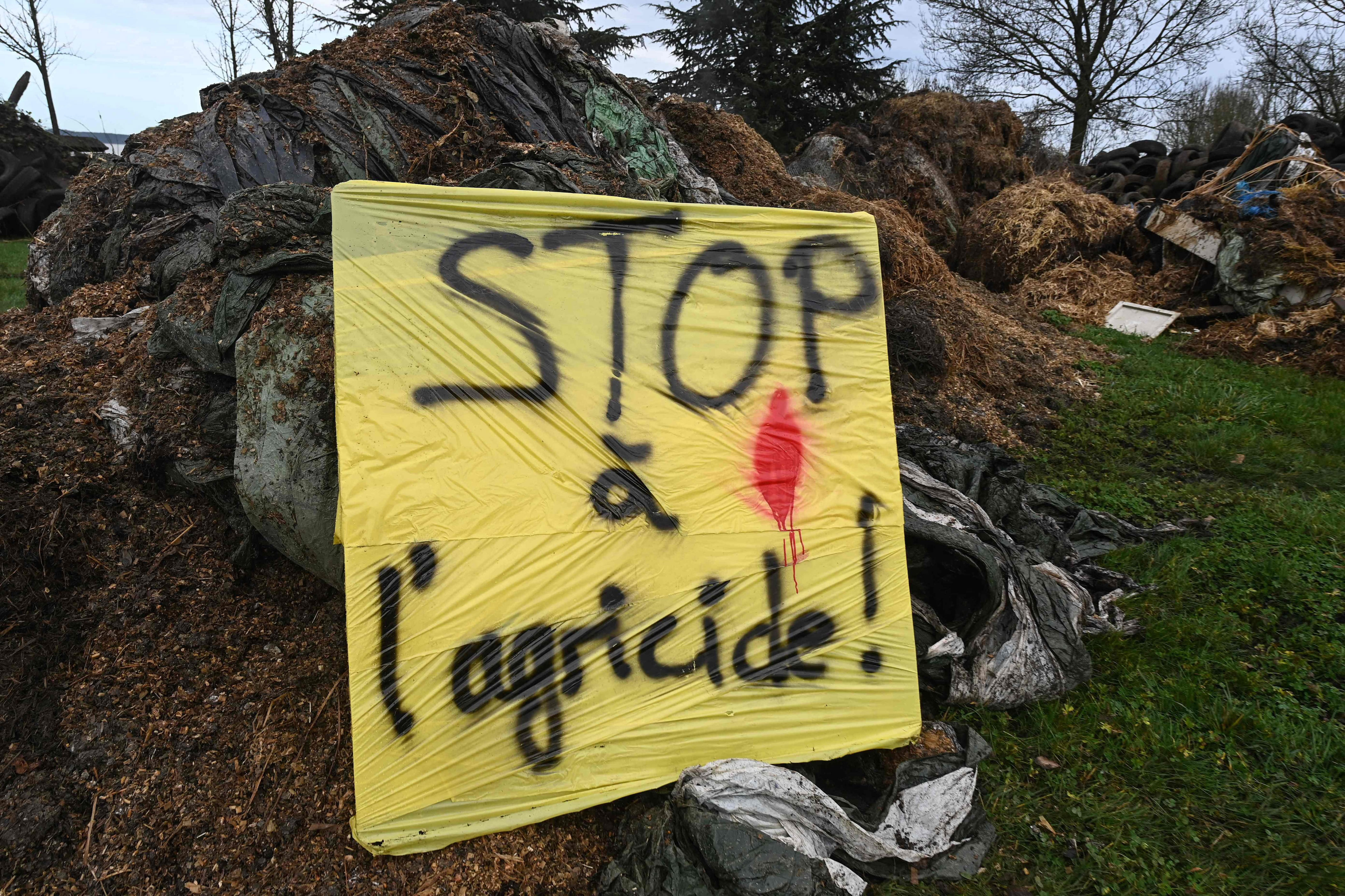 Crise de la dermatose : la mobilisation reflue, nouvelle réunion de la ...