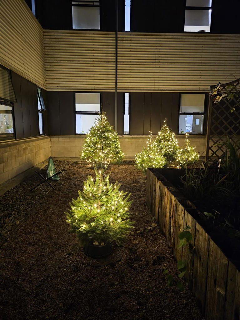 Winter courtyard unveiled at the Conquest Hospital