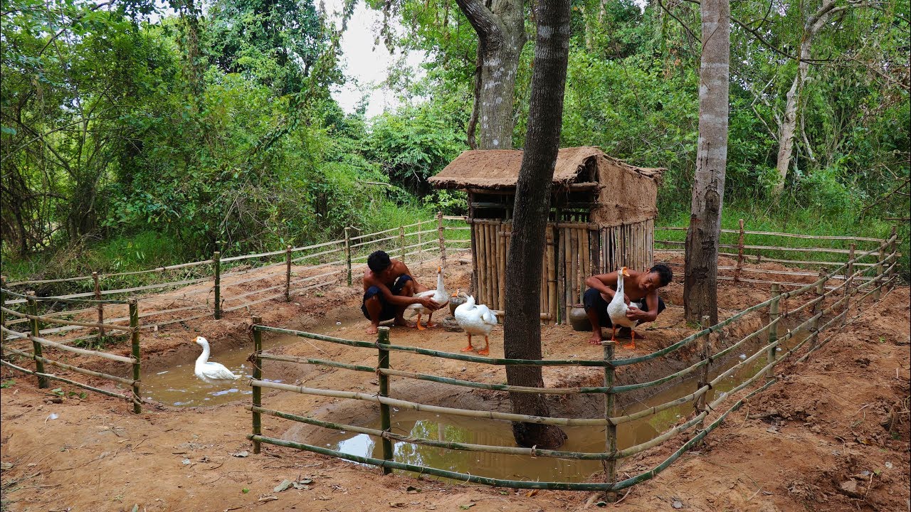 Building a water pool around an underground house for geese