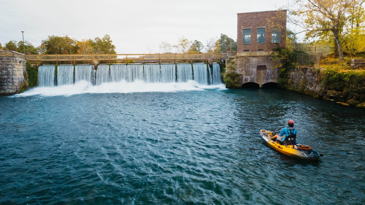 Gorgeous mountain river packed with fish, creek monster found