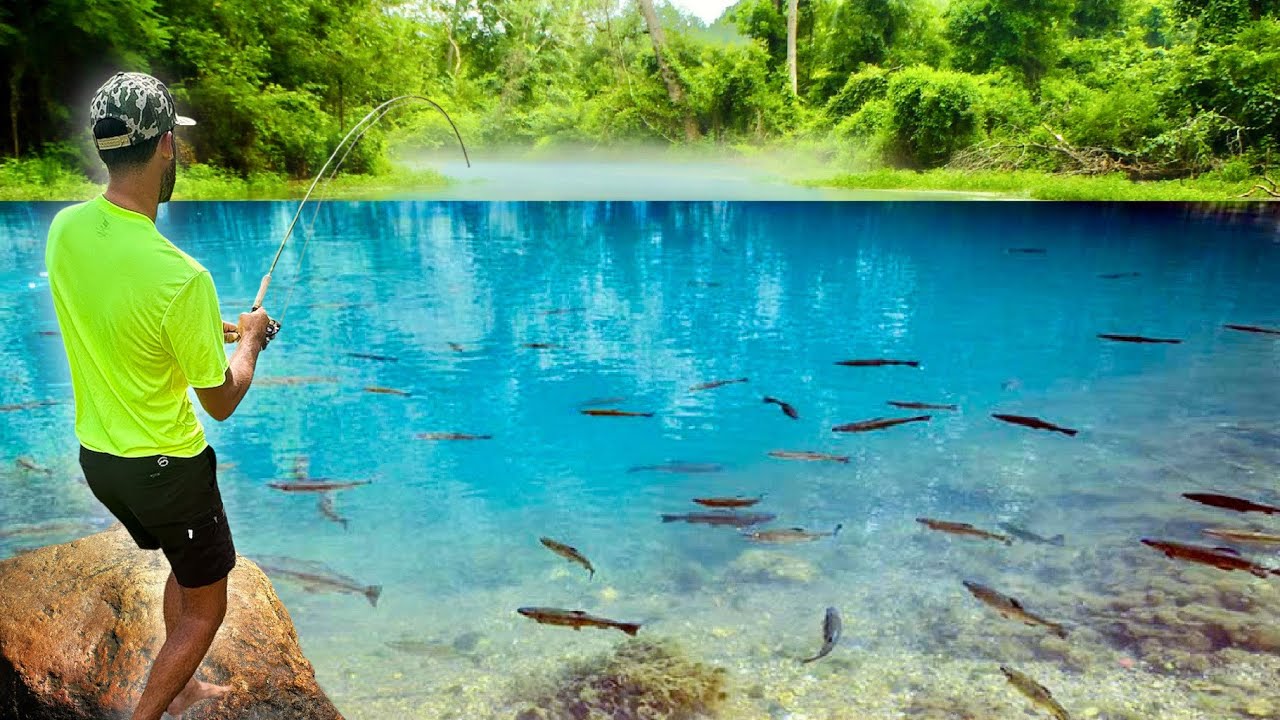 Fishing feels illegal with rare new species uncovered