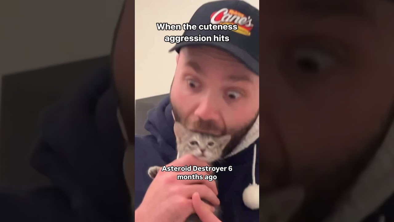 Our cat reigns supreme with unstoppable cuteness power