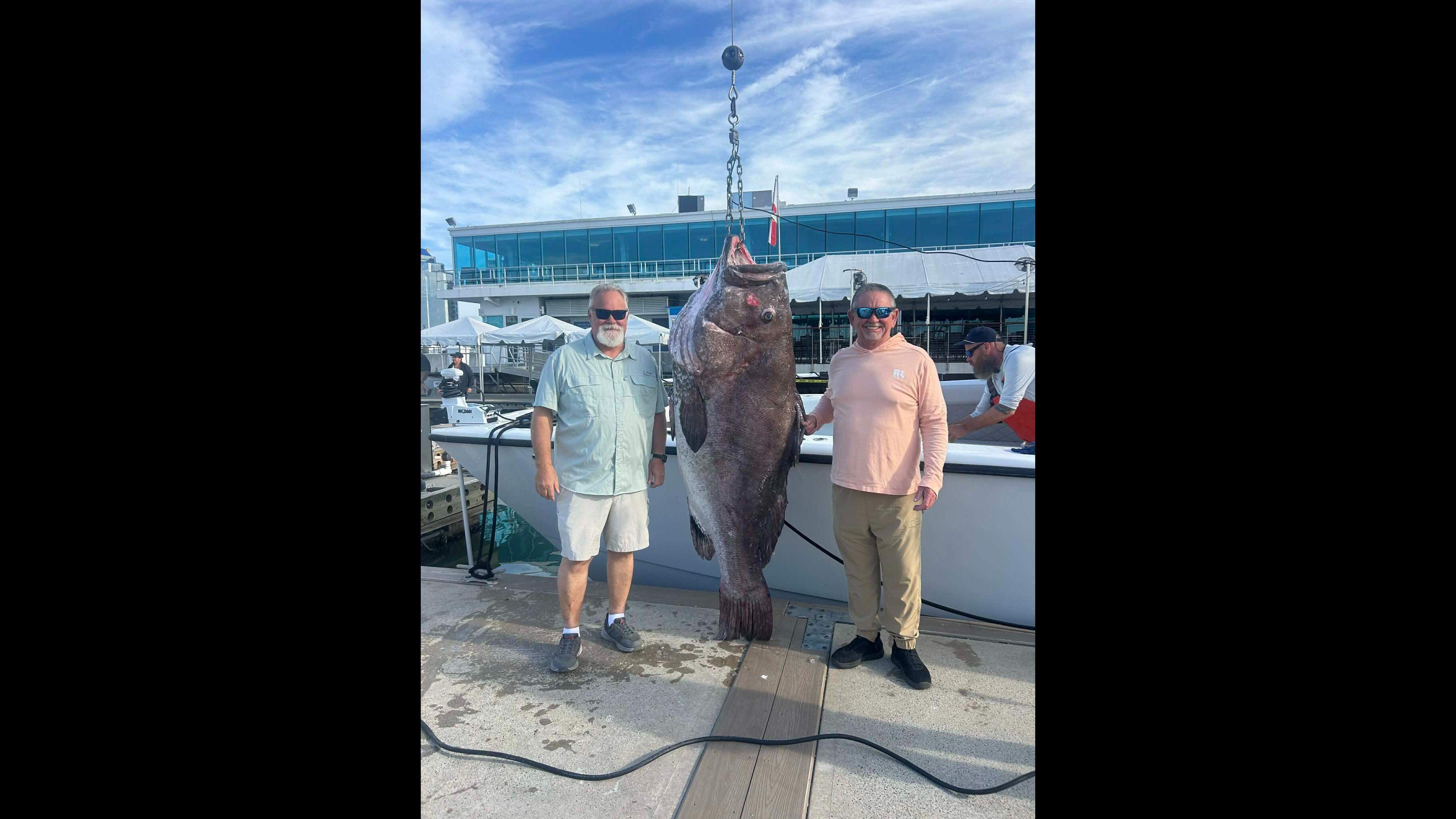 How a group of Gulf 'trophy hunters' reeled in a massive Warsaw grouper