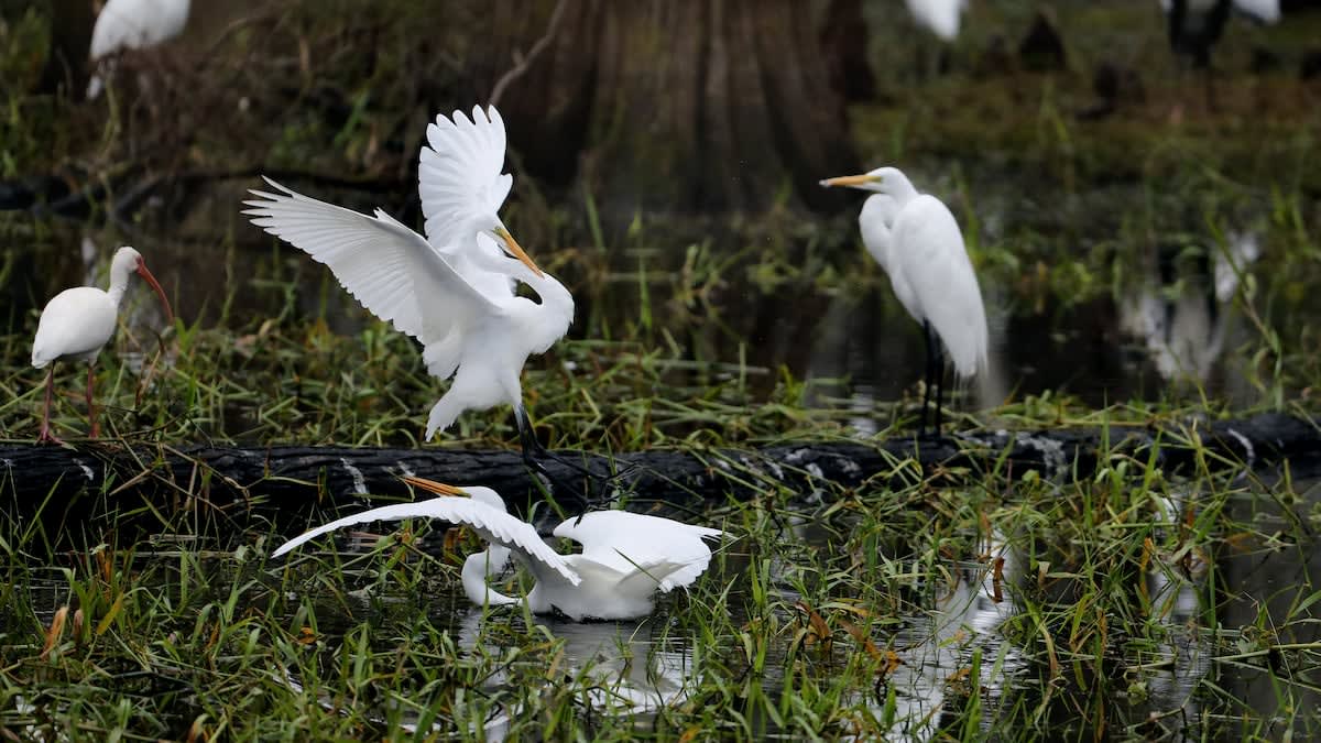 No child should be afraid of water | Column