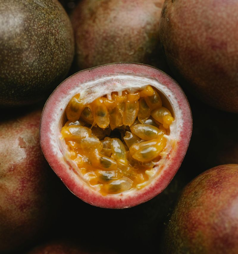 10 fruits that deliver more protein than expected