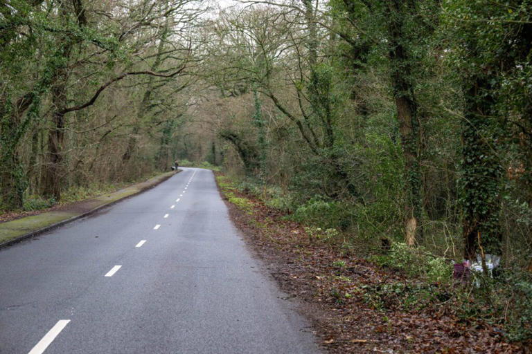 Tesla crash leaves two teens dead and third fighting for his life