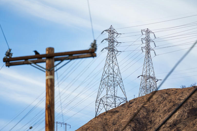 Small-scale bioenergy is critical for wildfire prevention, climate ...